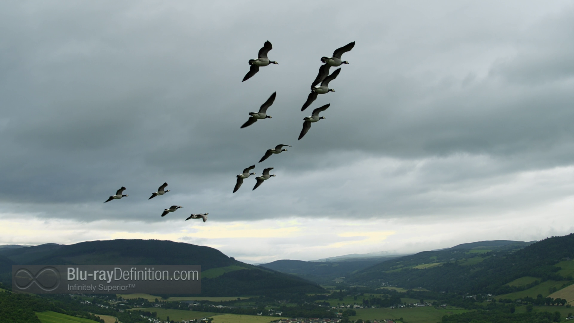 Earthflight: The Complete Series Blu-ray Review | TheaterByte