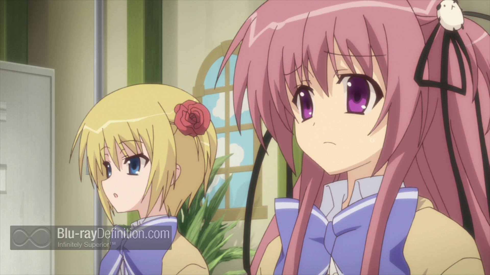 Ebiten: Ebisugawa Public High School's Tenmonbu Complete Collection Blu ...