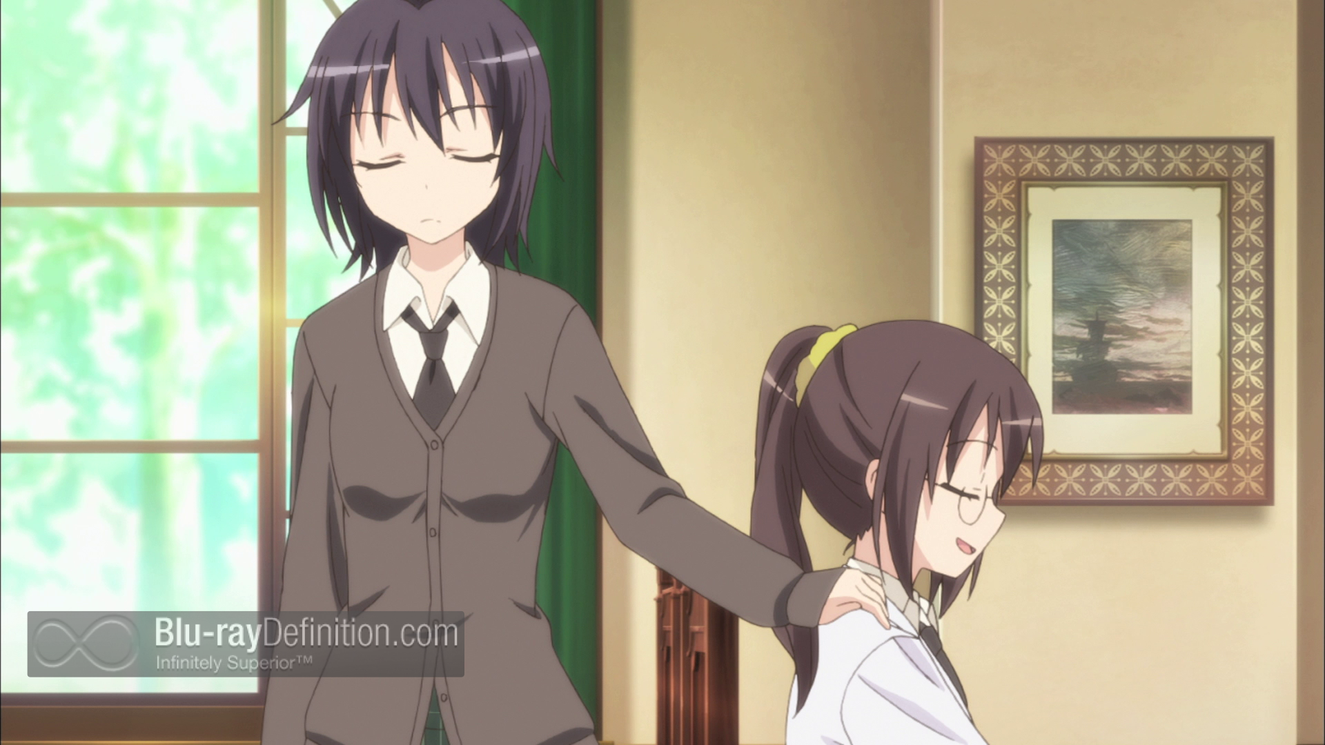 Haganai: I Don't Have Many Friends Next Blu-ray Review | TheaterByte