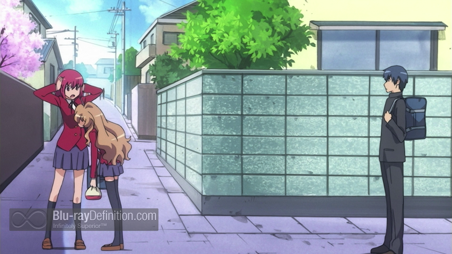 Toradora!: Complete Series Premium Edition Blu-ray Review | TheaterByte