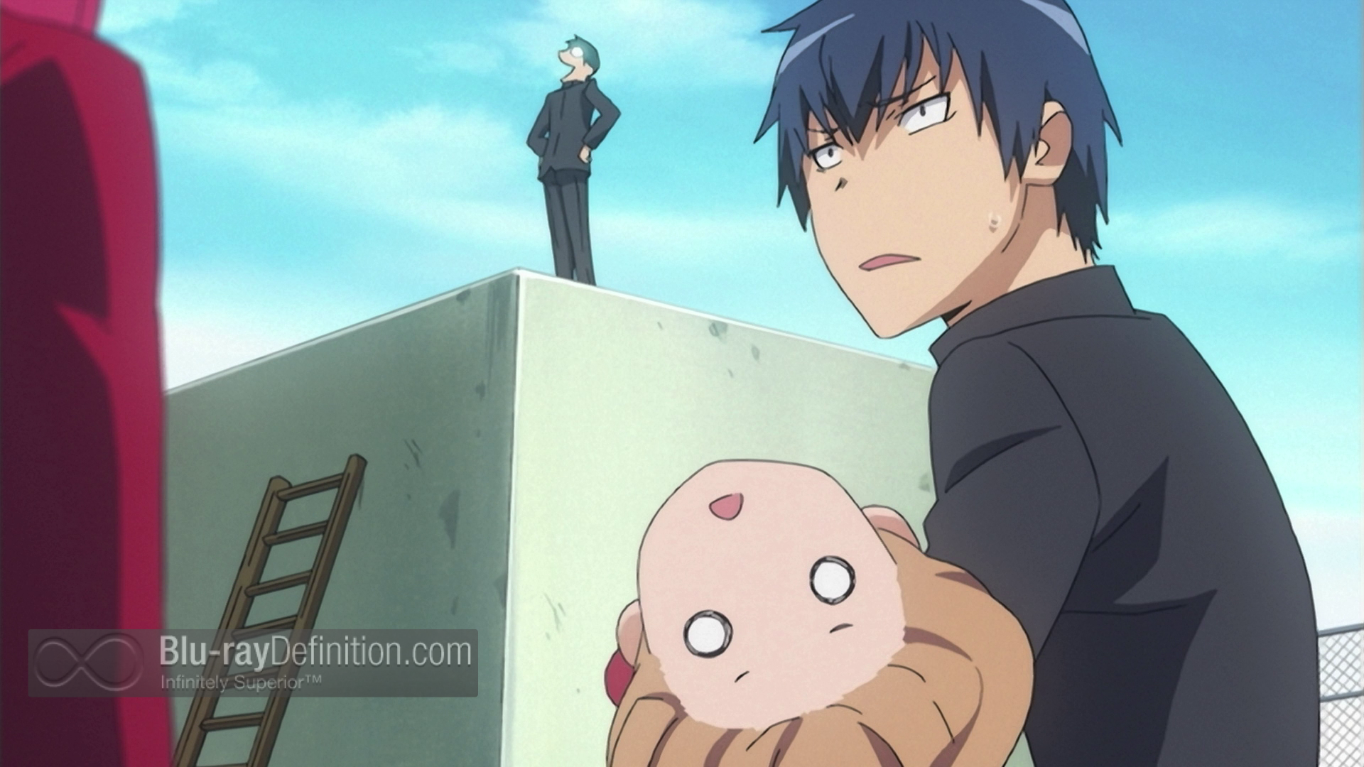 Toradora!: Complete Series Premium Edition Blu-ray Review | TheaterByte