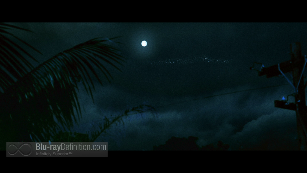 Disaster L.A.: The Last Zombie Apocalypse Begins Here Blu-ray Review ...