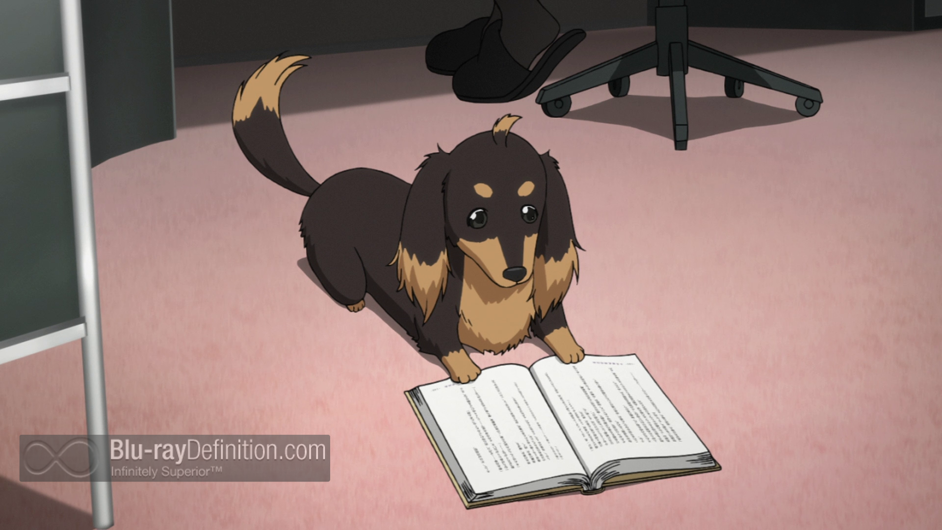 Dog & Scissors: Complete Collection Blu-ray Review | TheaterByte