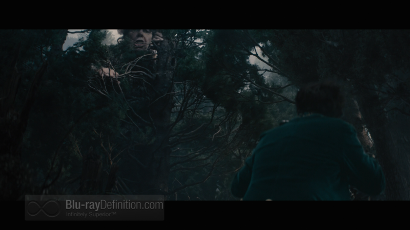 Into the Woods Blu-ray Review | TheaterByte