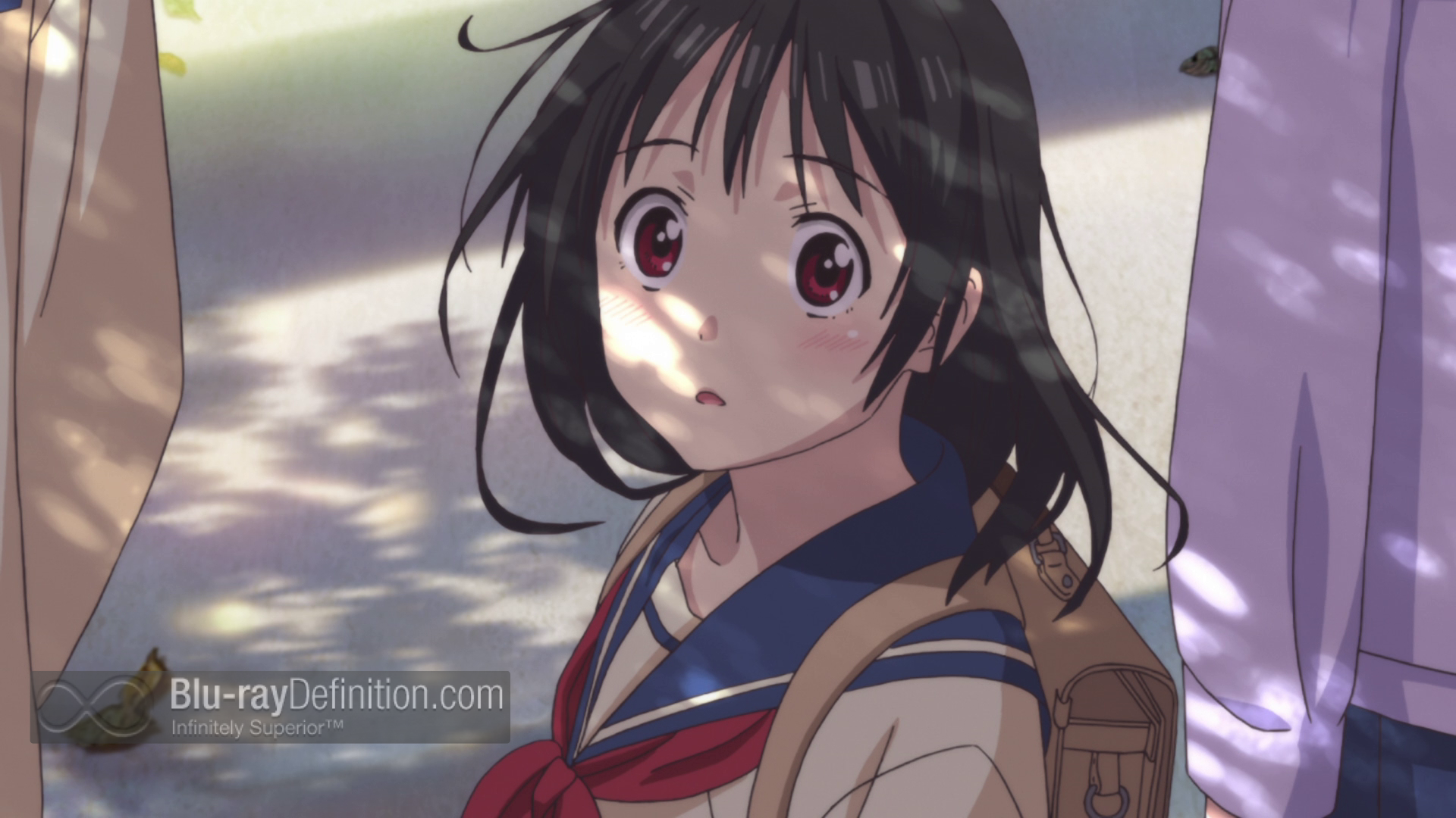 Inari Kon Kon: Complete Series & OVA Blu-ray Review | TheaterByte