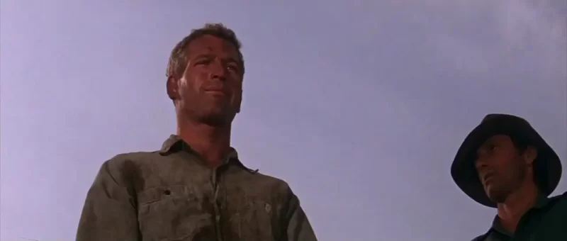 Cool Hand Luke (4K Ultra HD Blu-ray Review) | TheaterByte