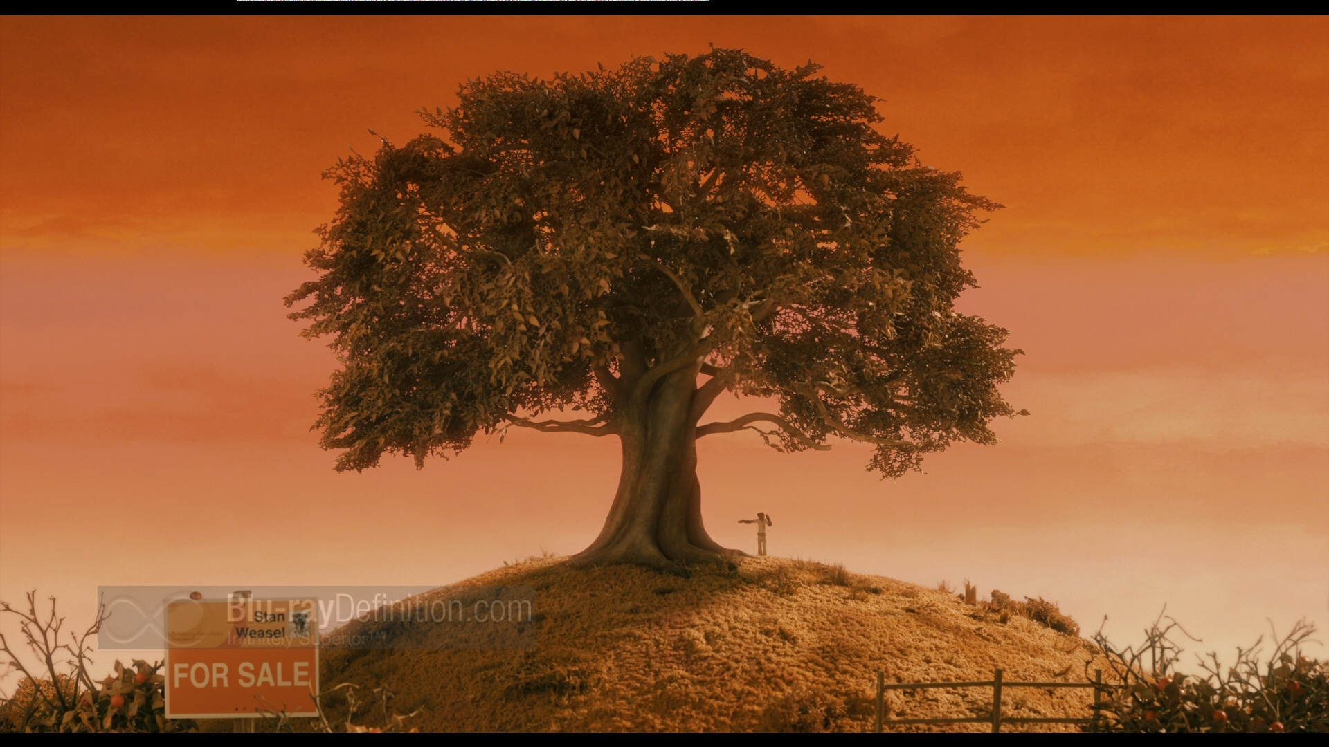 Fantastic Mr. Fox Blu-ray Review