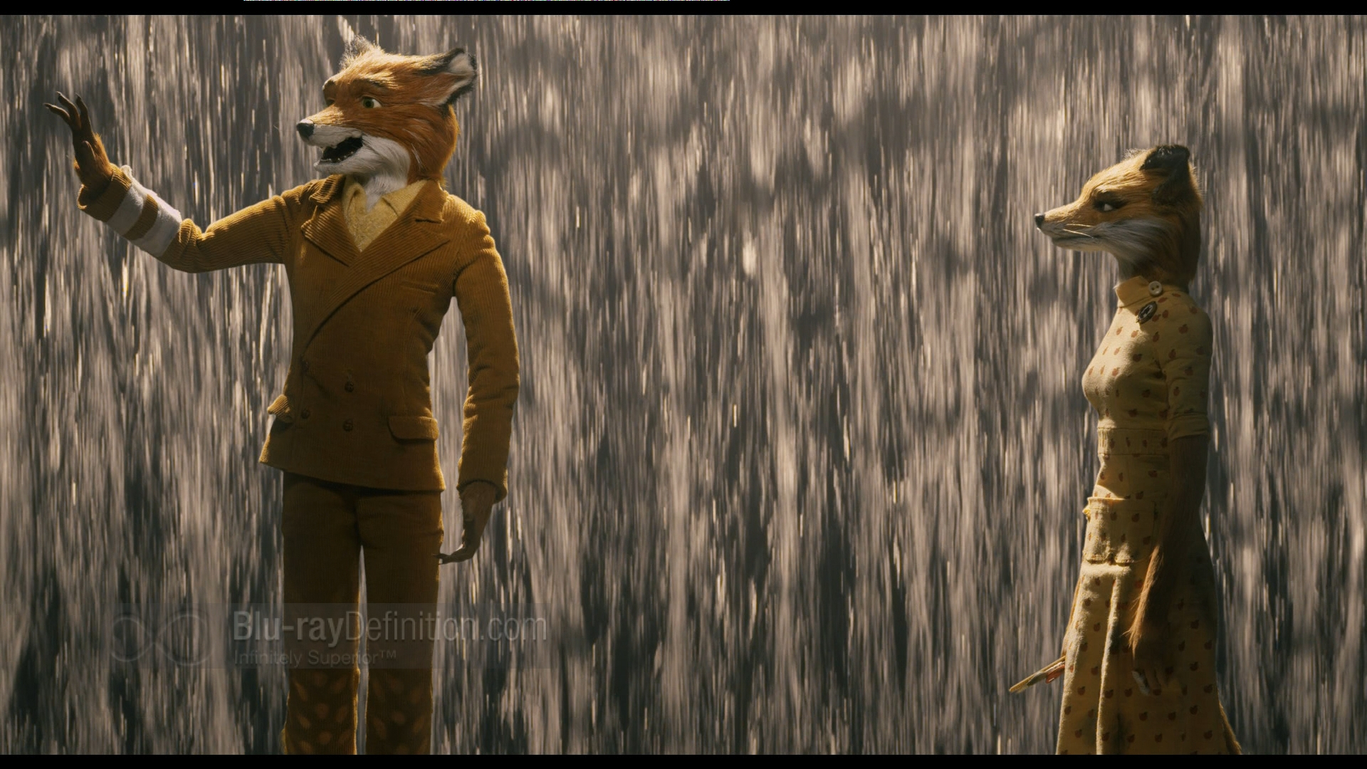 Fantastic Mr. Fox Blu-ray Review